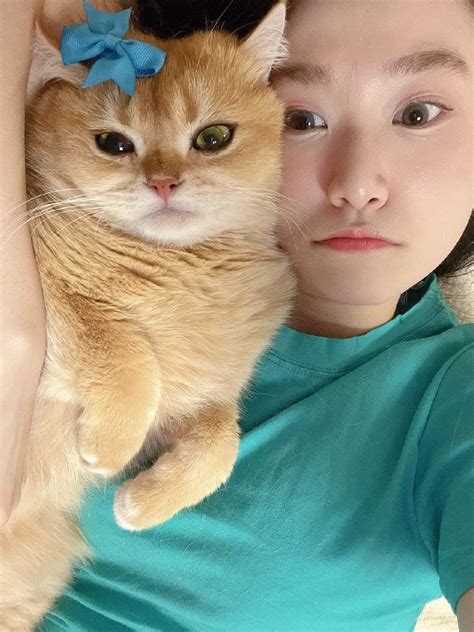 냥이 표정 따라하는 여자집사 유머 움짤 이슈 에펨코리아