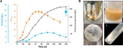 Fed Batch Fermentation Of Sclareol Producing Strains A Fed Batch Download Scientific Diagram