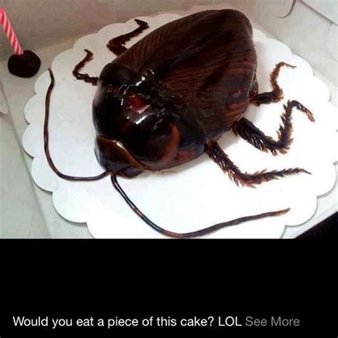 Biggest Cockroach Ever Found In A Birthday Cake See Photo ~ Nigeria
