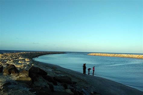 Rawda Rawda Gamal Insearchpk