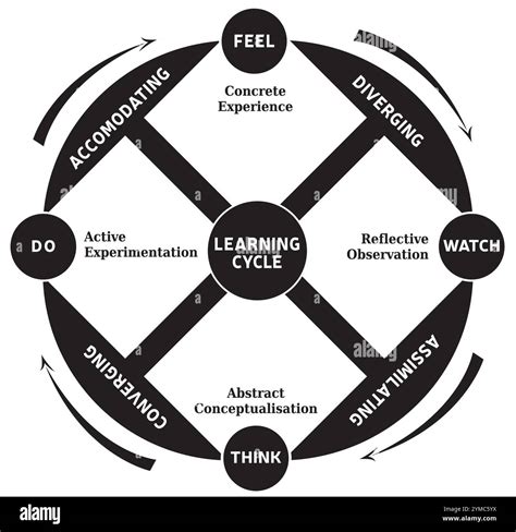 4 Stage Life Cycle Stock Vector Images Alamy