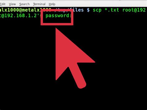 Come Trasferire File Da Un Server Linux A Un Altro