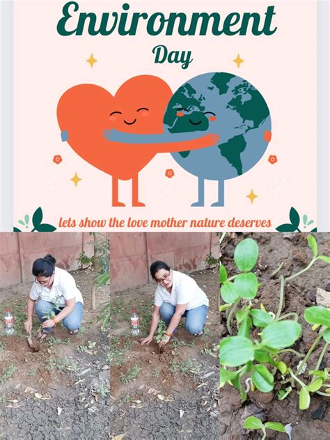 Ms Neelu P On Linkedin Worldenvironmentday Plantatree Gogreen Sustainability Ecofriendly…