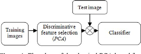Figure 1 From Face Recognition Under Pose And Expresivity Variation Using Thermal And Visible