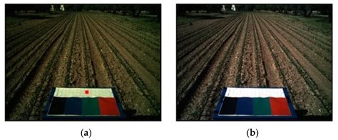Deep Neural Networks To Detect Weeds From Crops In Agricultural Environments In Real Time A Review