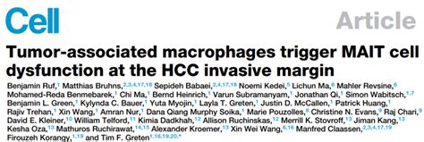 Cell：phenocycler Fusion空间单细胞蛋白组学（简称pcf 原codex）揭秘肝细胞癌中的细胞互作机制 知乎