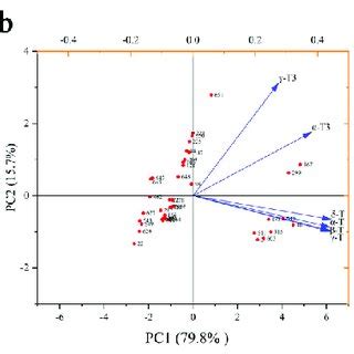 PCA Analysis In Varieties A PCA Analysis Between Agronomic Traits Download Scientific