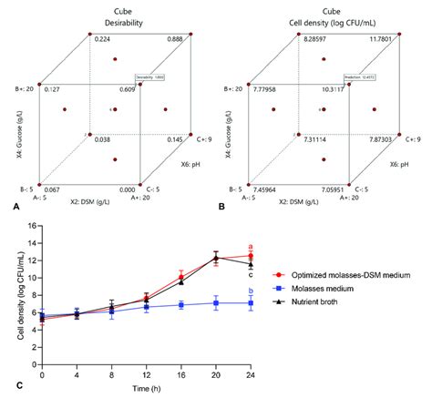 Validation Of The Quadratic Optimization Model A Cube Plot Of