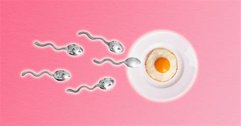 Ovulation Is A Delicate Biological Process