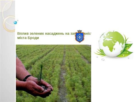 Вплив зелених насаджень на загазованість міста Броди презентація з
