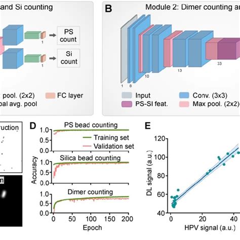 Convolutional Neural Network For Clinical Sample Analysis A B
