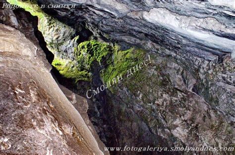 Tag община девин Смолян днес