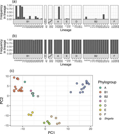 Gene Frequencies Across The Lineages A B Examples Of The Download Scientific Diagram