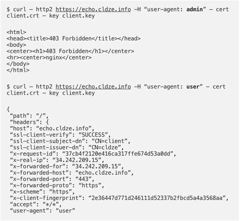 Implementing Waf And Mutual Tls On Kubernetes Aks