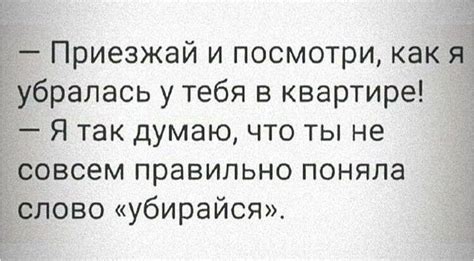 Приезжай и посмотри как я убралась у тебя в квартире — Я так думаю