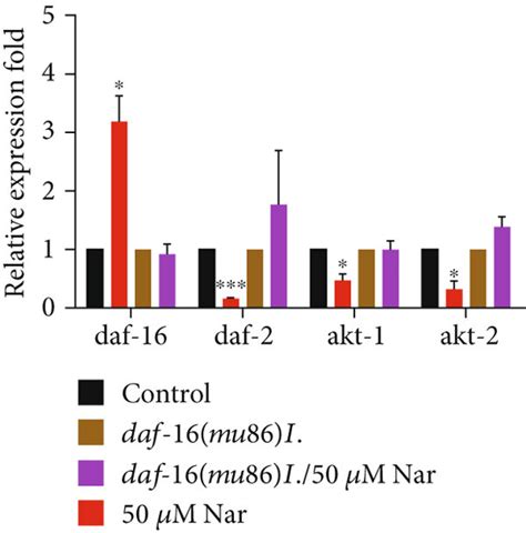 Naringin Could Affect The Mrna Expression And Not Extend The Lifespan Download Scientific