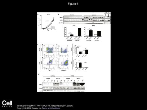 Volume Issue Pages November Ppt Download