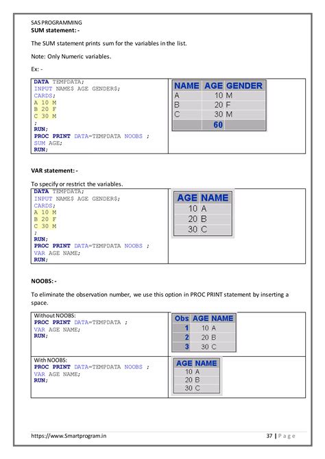 SAS Programming Notes DOCX