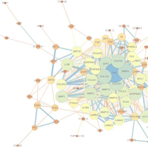 Top 20 Hub Genes Revealed In The Proteinprotein Interaction Network Of Download Scientific
