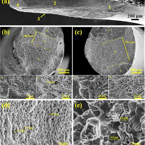 The Morphology Of Fracture Surfaces A Original Spring B Sample 1
