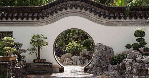 How Tall Do Bonsai Trees Get Bonsai Tree Help