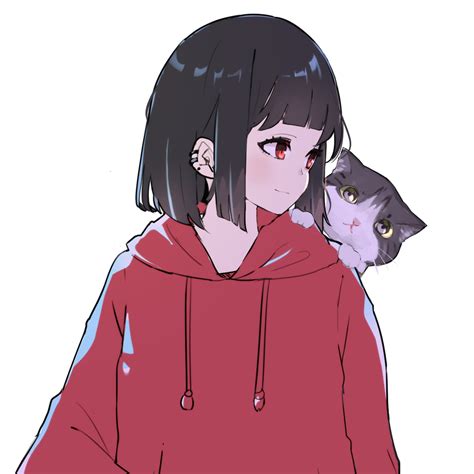 フリーイラストパーカー女子と猫ものりcoconalaブログ