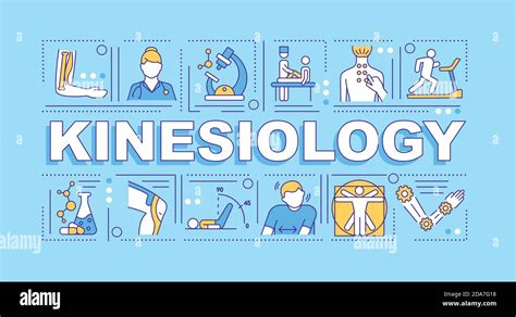 Kinesiology Word Concepts Banner Stock Vector Image And Art Alamy
