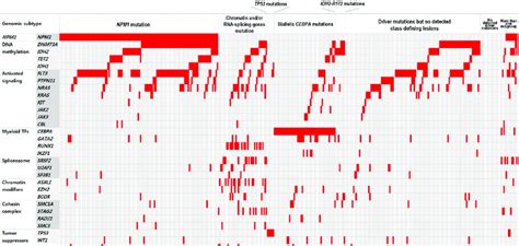 Schematic Representation Of The Mutational Status Of Patients With