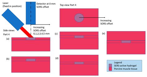 Surface Enhanced Spatially Offset Raman Spectroscopy In Tissue