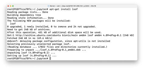 원격 서버에서 Jupyter Notebook 또는 Jupyter Lab을 실행하여 접속하기