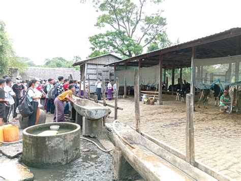 ရွှေတောင်မြို့နယ် စိုက်ပျိုးရေးနှင့်မွေးမြူရေး အထက်တန်းကျောင်း ကျောင်းသား ကျောင်းသူများအား က