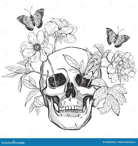 Skull Flowers And Butterfly Stock Vector Illustration Of Butterfly