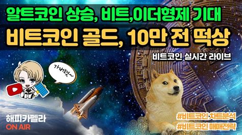 비트코인 실시간 비트코인 골드 10만원 전 떡상 비트이더형제 기대 중 39 점심💎비트코인 비트코인실시간