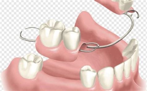 Хатагтай дент шүдний эмнэлэг
