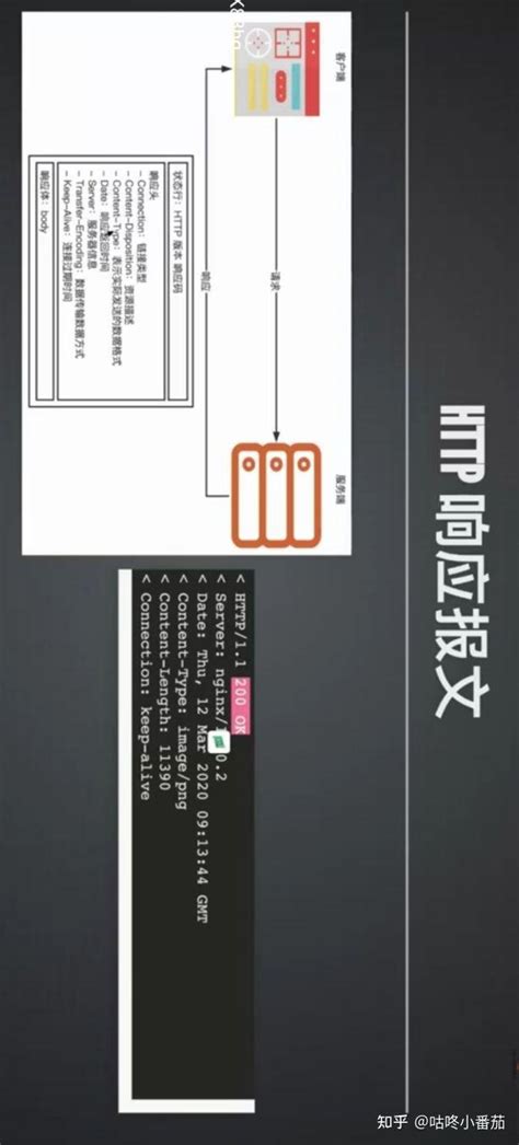 软件测试学习笔记 知乎