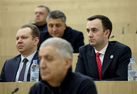 ქართული ოცნება Georgian Dream პოლიტიკური გაერთიანება ქართული ოცნება დემოკრატიული