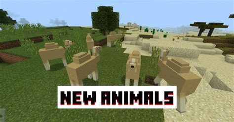 Download The Camel Mod For Minecraft Pe