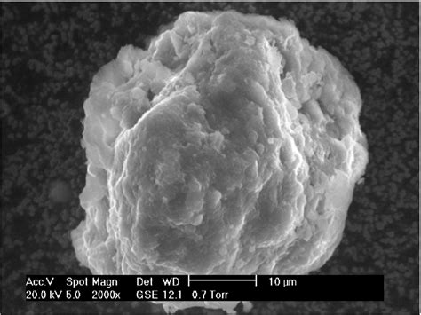 Showing The High Resolution Scanning Electron Microscope Image Of An Download Scientific