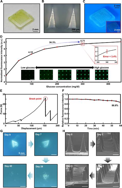 Illustrations And In Vitro Performance Of The Biodegradable Microneedle Download Scientific