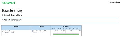 Report Output Veeam MP For Hyper V Guide