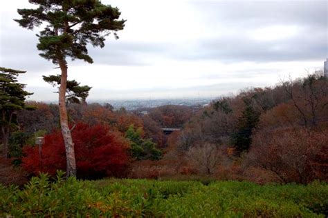 樹齢700年 大イチョウが美しい 大銀杏見頃 岩殿観音 東松山市 埼玉県 出合いの風景 音楽 詩 自然