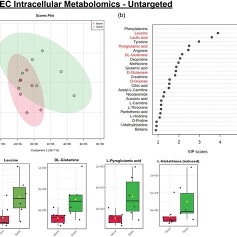 A Partial Least Squares‐discriminant Analysis Scores Plot Showing