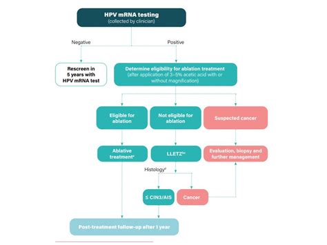 What Is The Hpv Lab Test Called At Sean Chaffey Blog