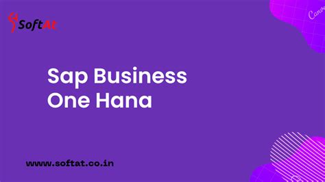 Power Of Sap Business One Hana Softat