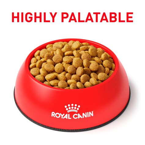 Feline Urinary So® Calm Royal Canin Us