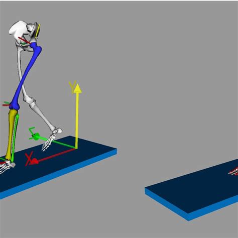 Illustration Of The Marker Setting In The Opensim Standard Model The