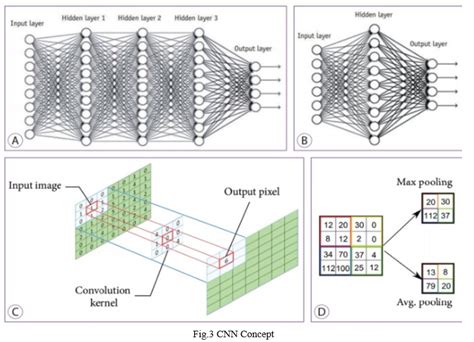 Automated Analysis Of Endoscopic Images