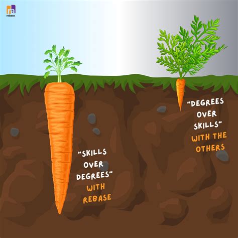 Rebasecodecamp Programming Coding Foryoupage Rebase Code Camp