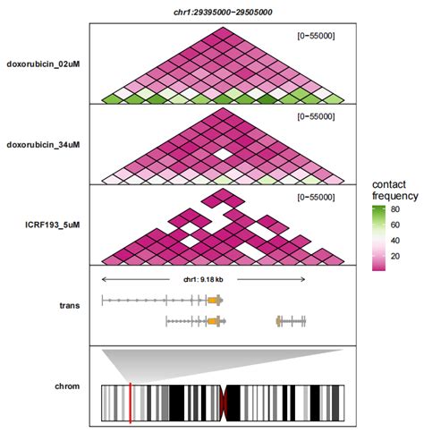 Chapter 7 Hic Heatmap Visualization Biosequtils Reference