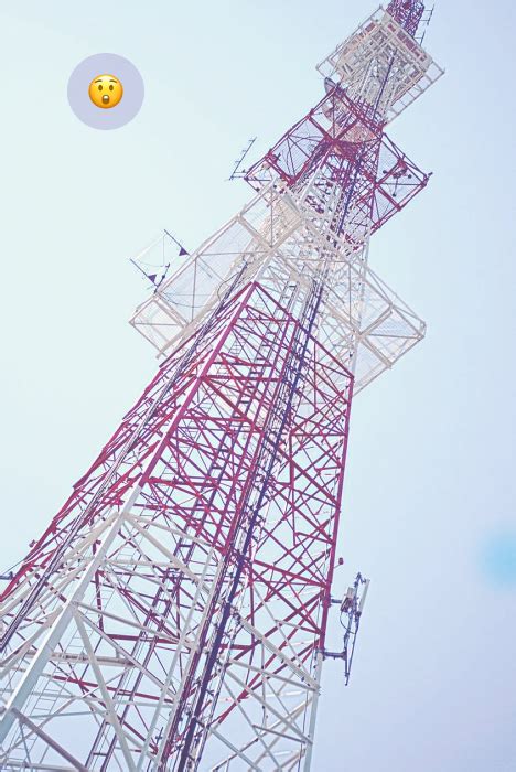 Vessel Tracking Api And Ship Ais Database Datalastic